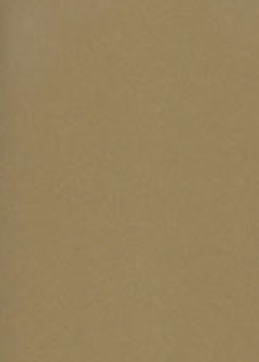 Stardream Antique Gold 120gsm A4 Paper